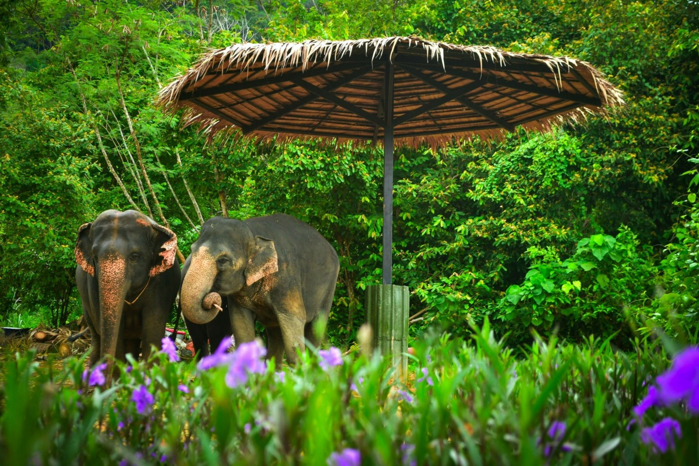 Phuket EASY GO PHUKET Package H: 6 days & 5 nights - Phuket Thailand Travel